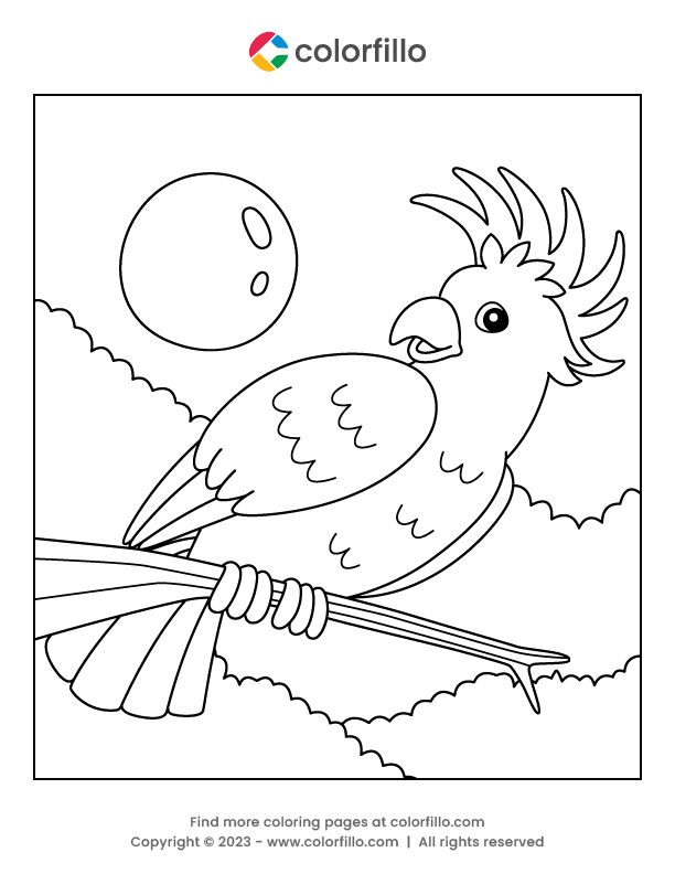 Free Online Cockatoo Coloring Page - colorfillo