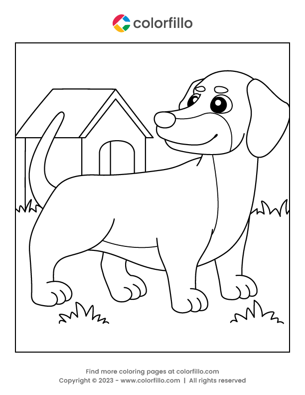 Free Online Dachshund Dog Coloring Page - colorfillo
