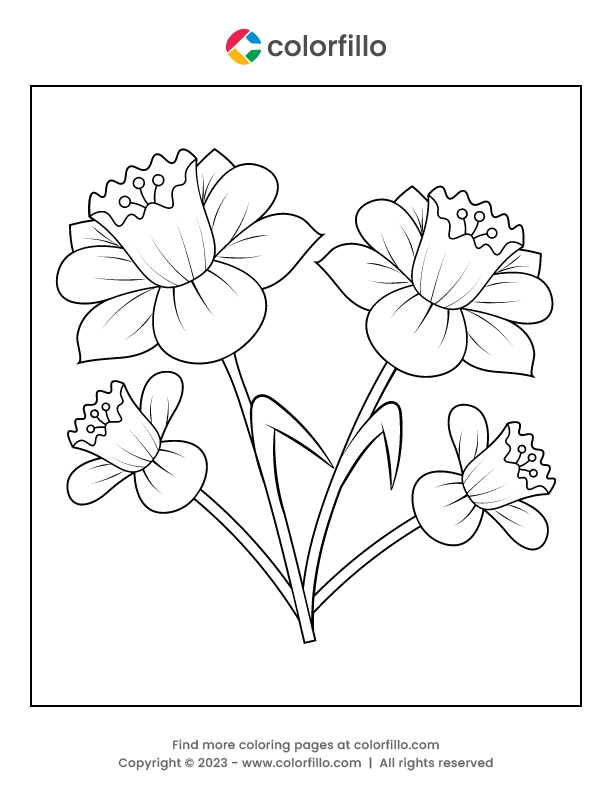 Free Online Daffodils Coloring Page - colorfillo