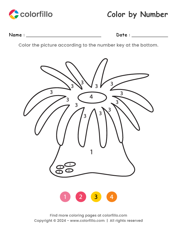 Free Online Pink Actinia Color by Number - colorfillo