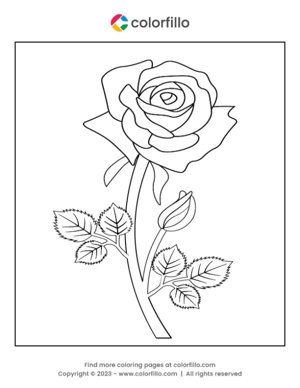 Free Online Rose Coloring Page - colorfillo