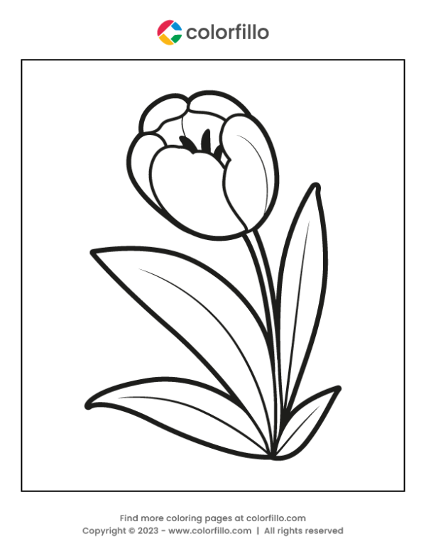 Free Online Tulip Coloring Page - colorfillo