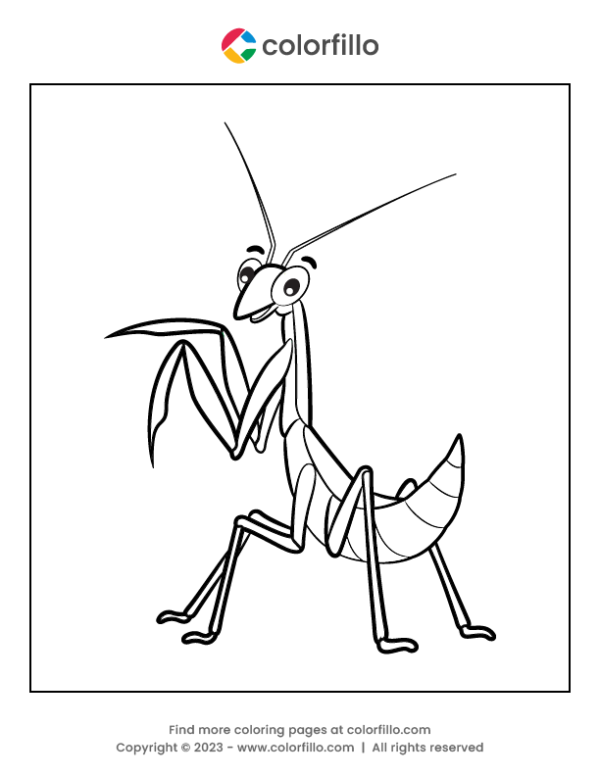 Free Online Cockroach Coloring Page - colorfillo