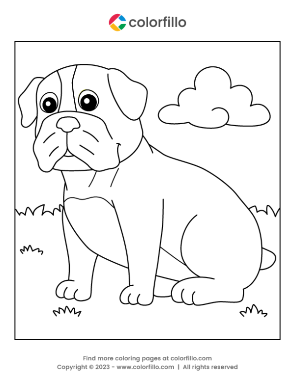 Free Online Bull Dog Coloring Page - colorfillo